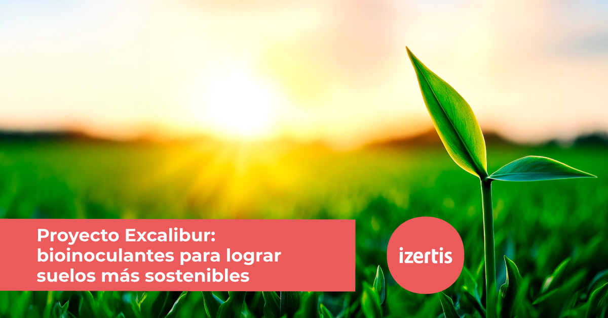 Proyecto Excalibur: bioinoculantes para lograr suelos más sostenibles ...